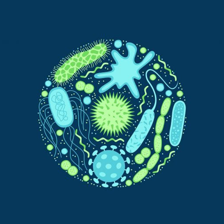 Antimicrobial Resistance - A Global Public Health Threat - HealthTrackRx Antimicrobial Resistance - A Global Public Health Threat - HealthTrackRx