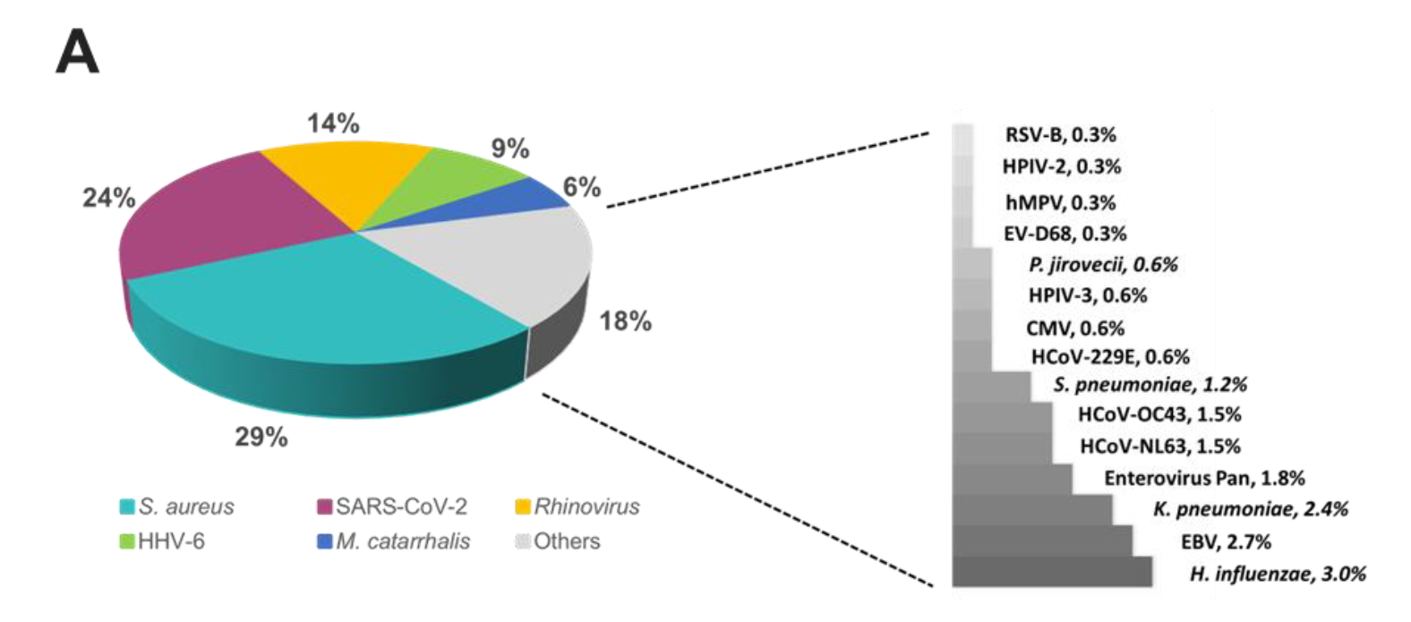 Expanded PCR Panel Testing for Identification of Respiratory Pathogens ...