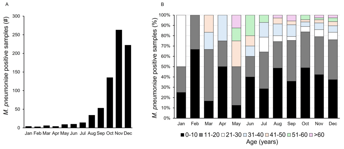 Mycoplasma Pneumoniae Outbreak in 2023