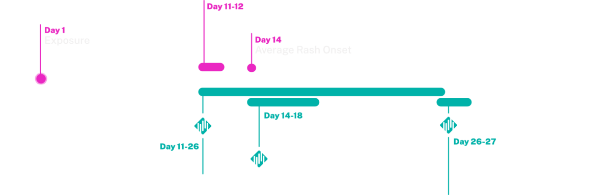Next-Morning Measles PCR Testing